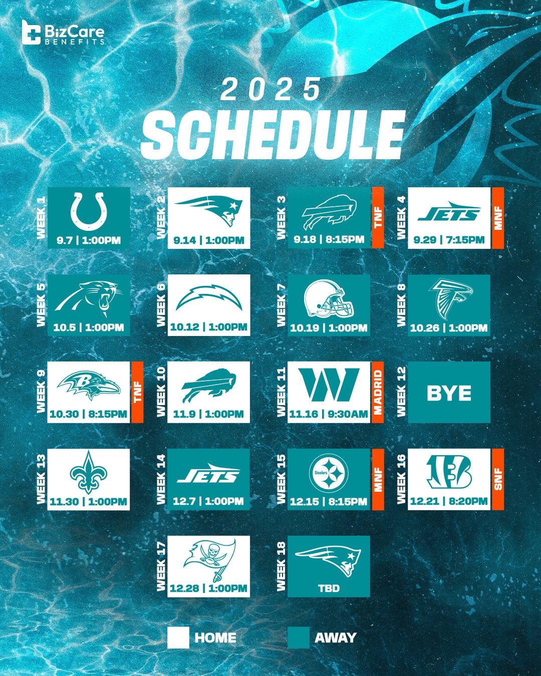 Will the Dolphins 2025 Season end in Playoffs or disappointment?